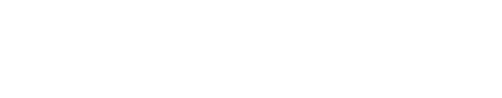 Duplicate Bill